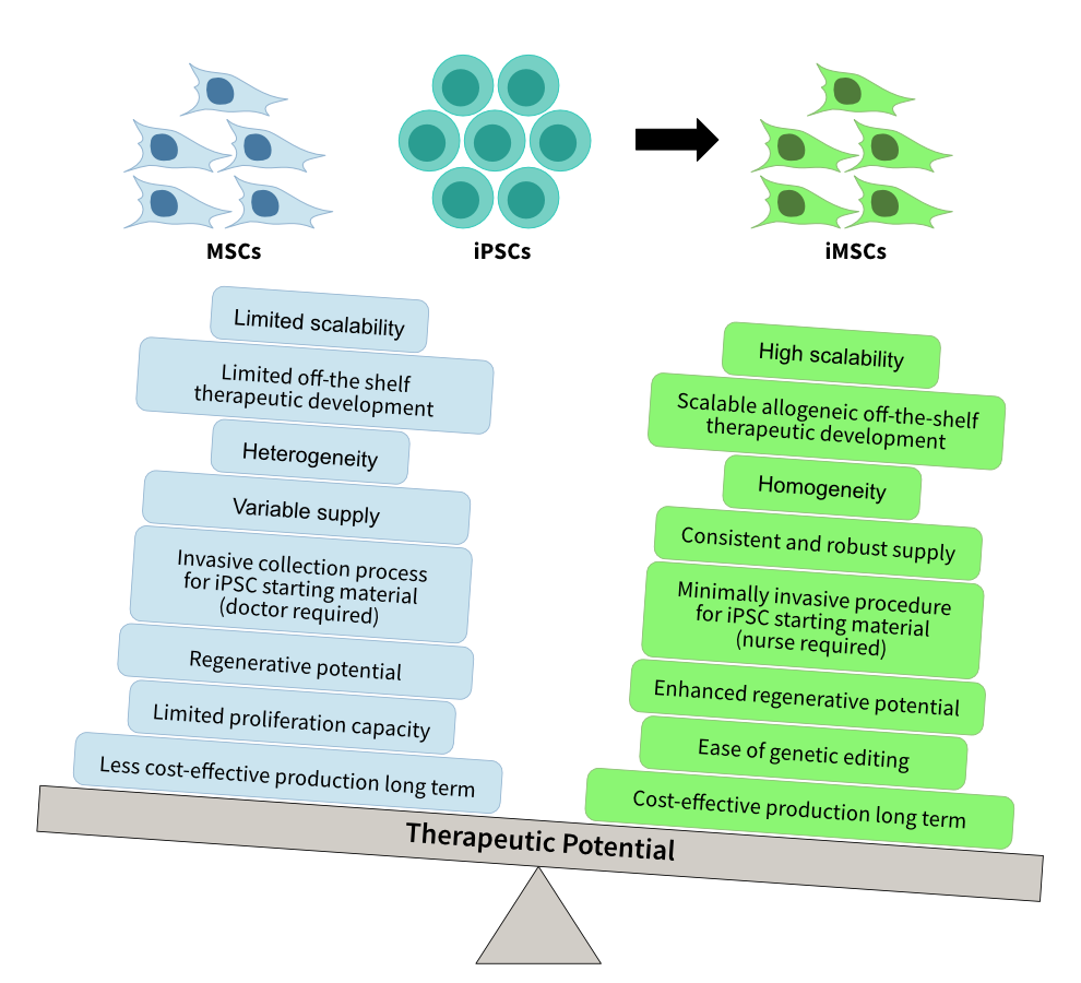 The Therapeutic Advantage of Induced Pluripotent Stem Cells-Derived Mesenchymal Stem Cells (iMSCs)